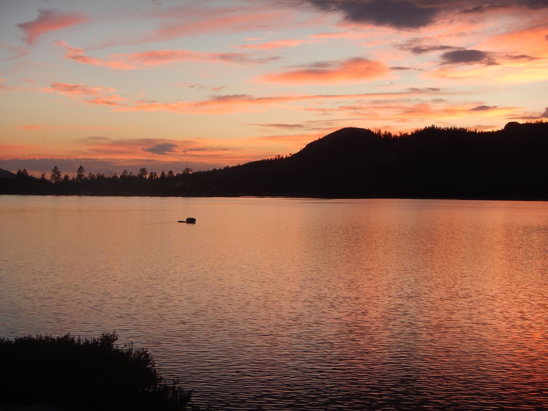 Loon Lake 2018 – Anet Gazette